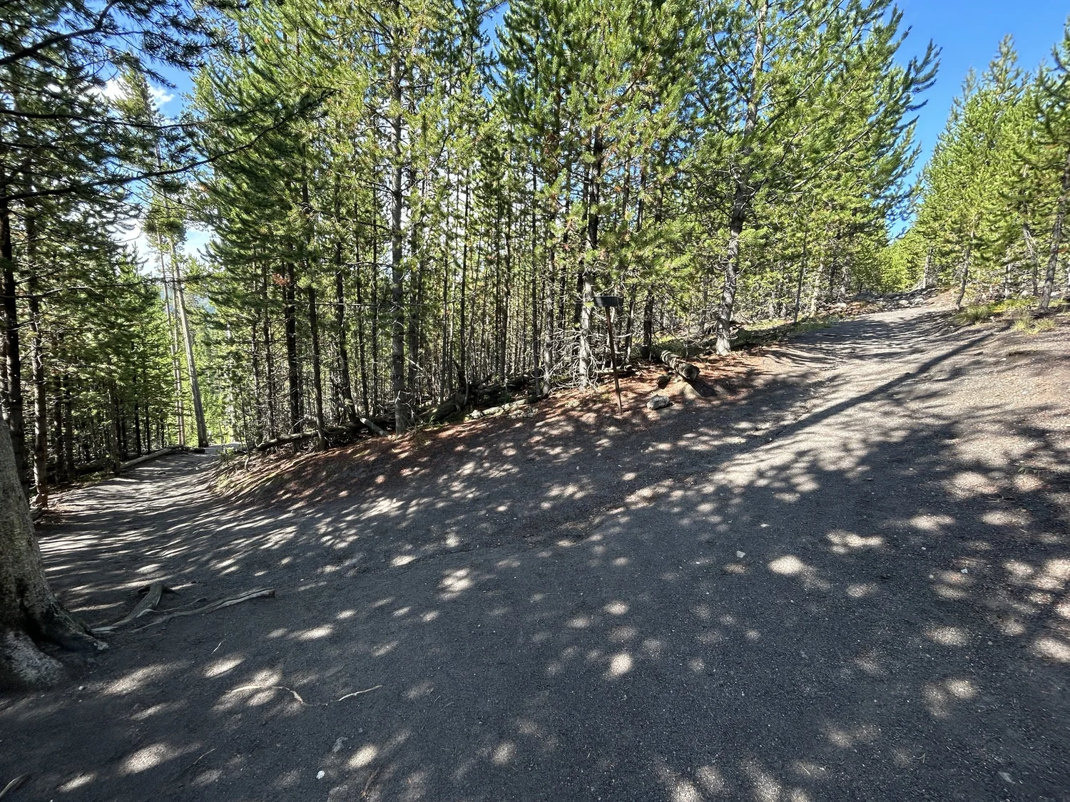 Hiking the Mystic Falls Trail (Little Firehole Loop) in Yellowstone ...