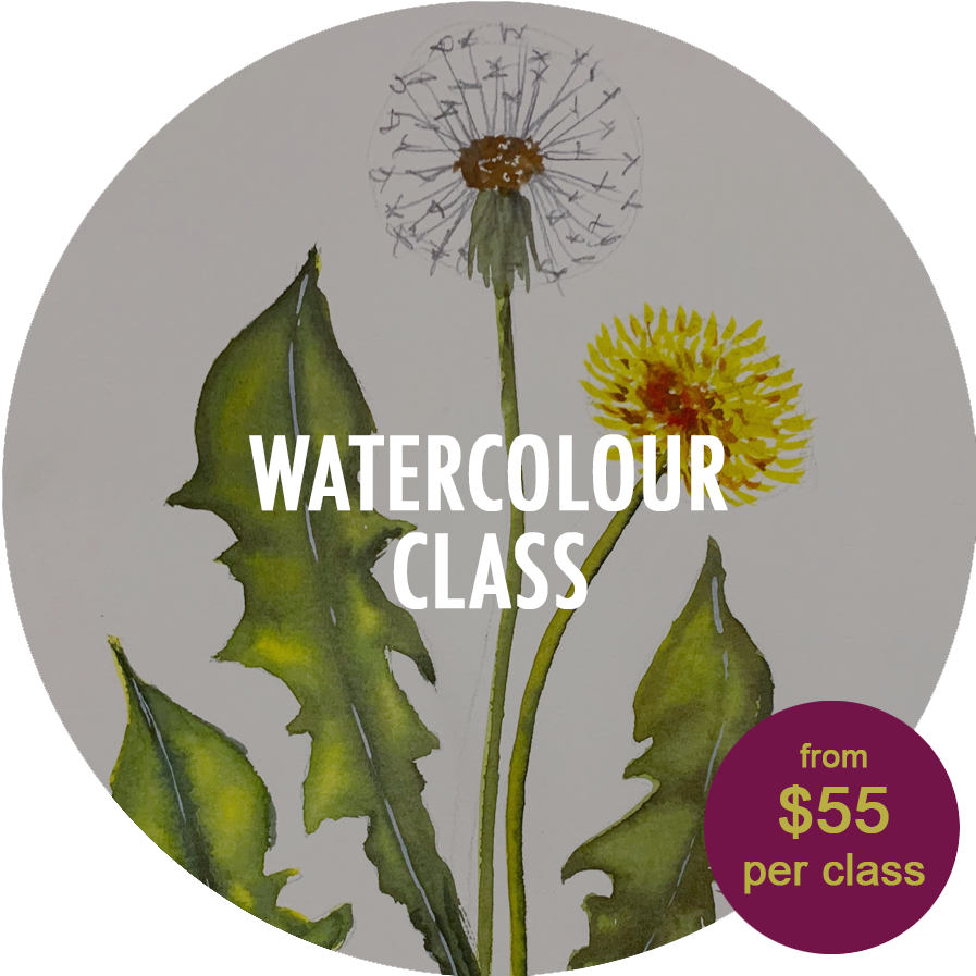 art courses for adults near Kingscliff, Casuarina NSW, Tweed and ...