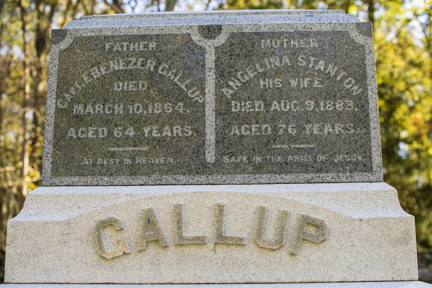 Gallup Family Association