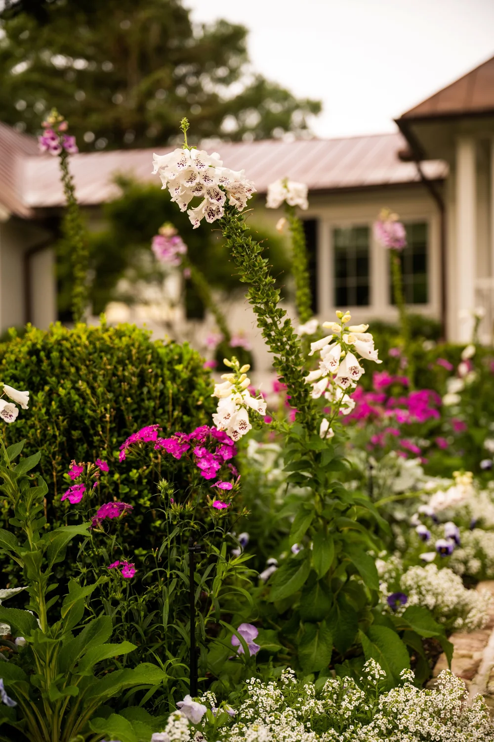 Gallery — Elizabeth Pope Landscape Architect.