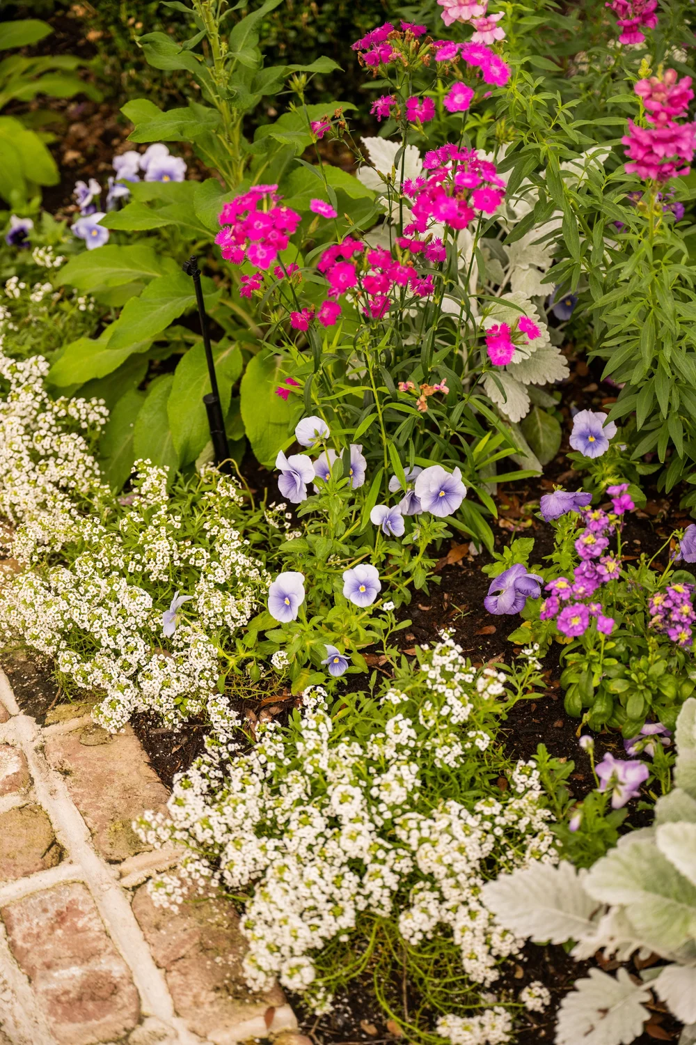 Gallery — Elizabeth Pope Landscape Architect.