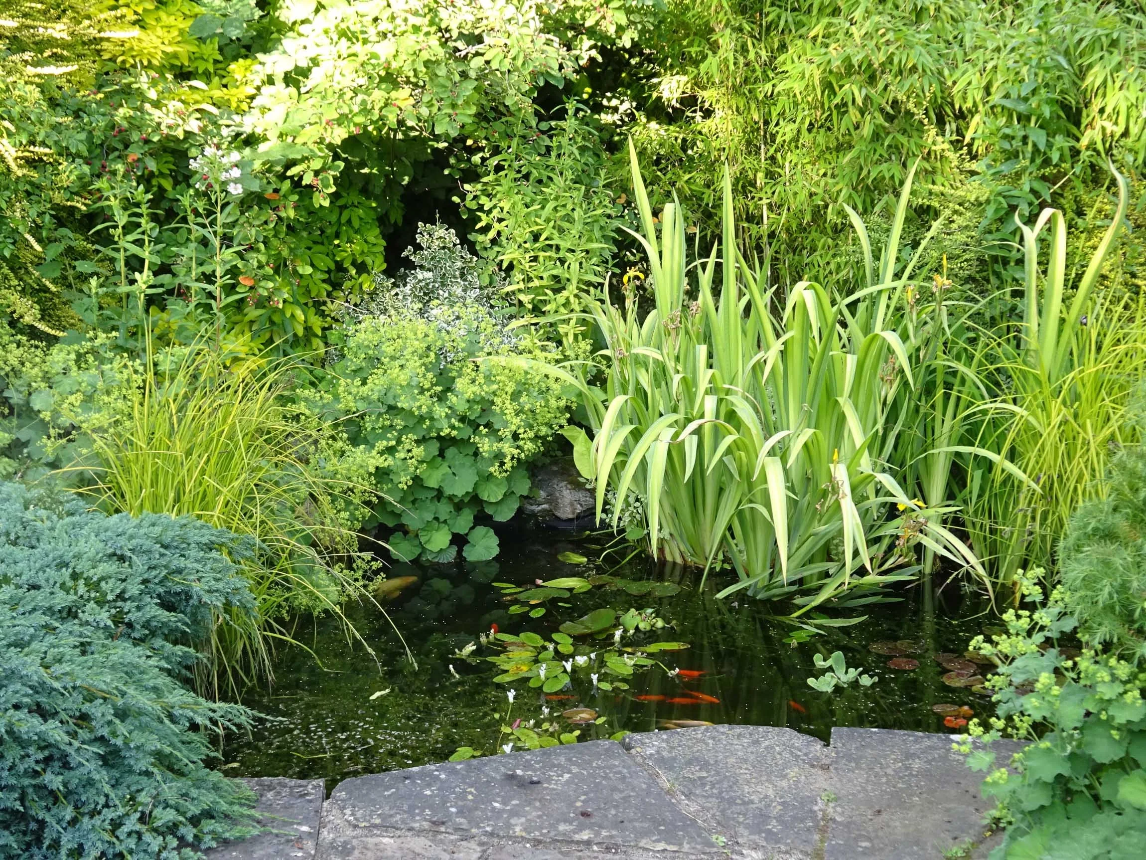 Portfolio — Jane Ashley Garden Design - Award Winning Garden Designer ...