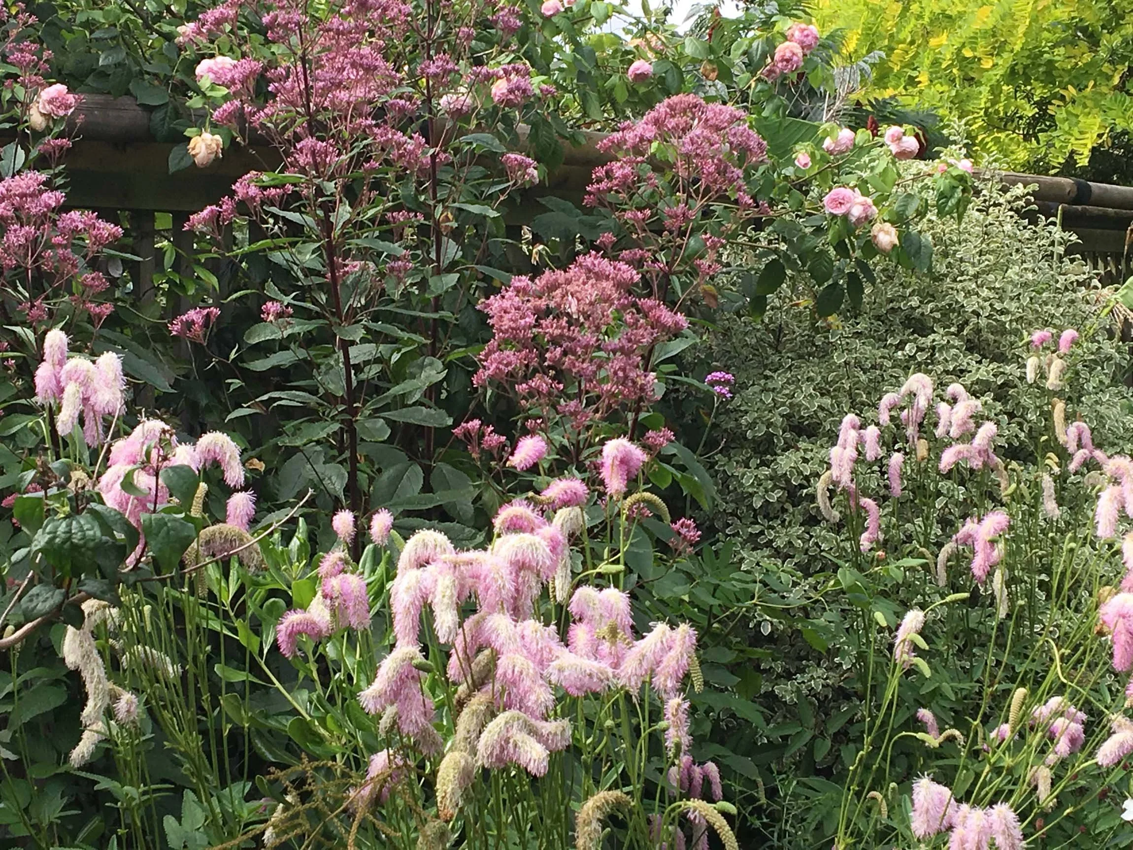 Flower-filled garden in Ealing (W5) — Jane Ashley Garden Design - Award ...