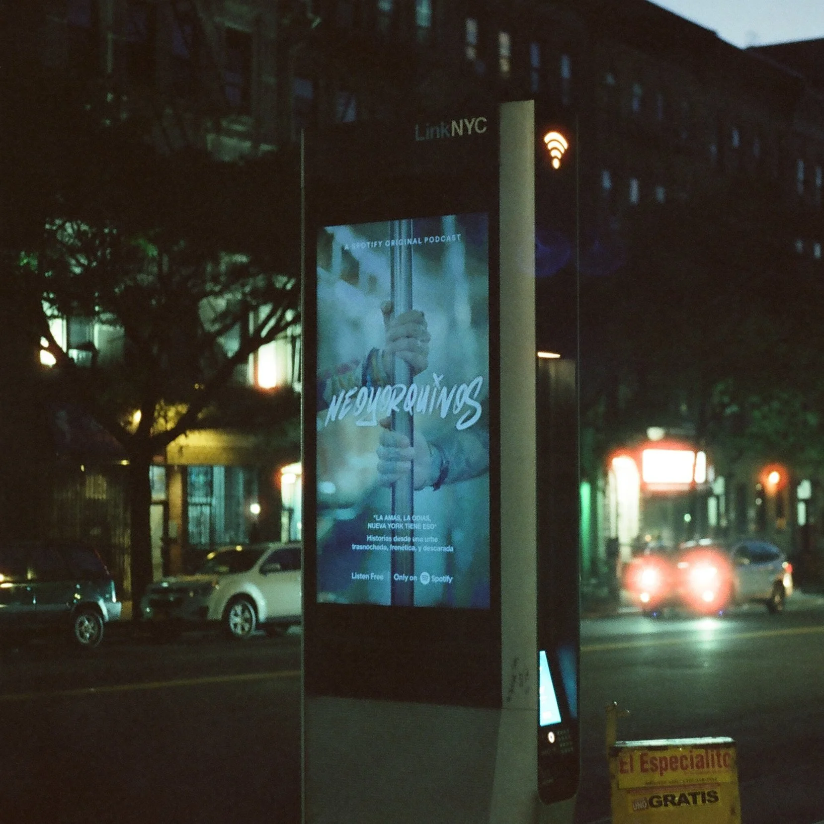 Graphic Design — Flavia Romani