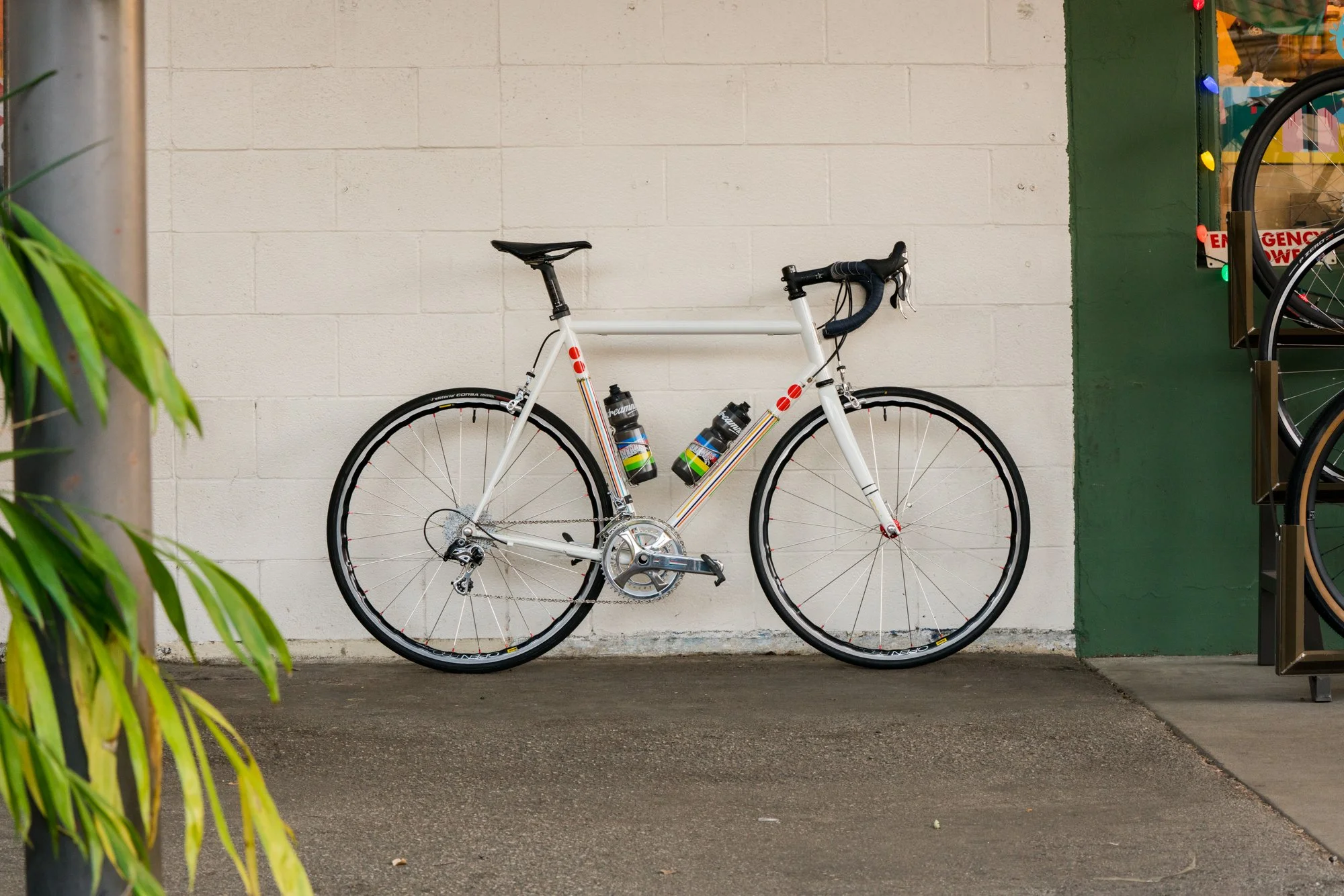 Greg's Gregoretti Pegoretti — The Cub House