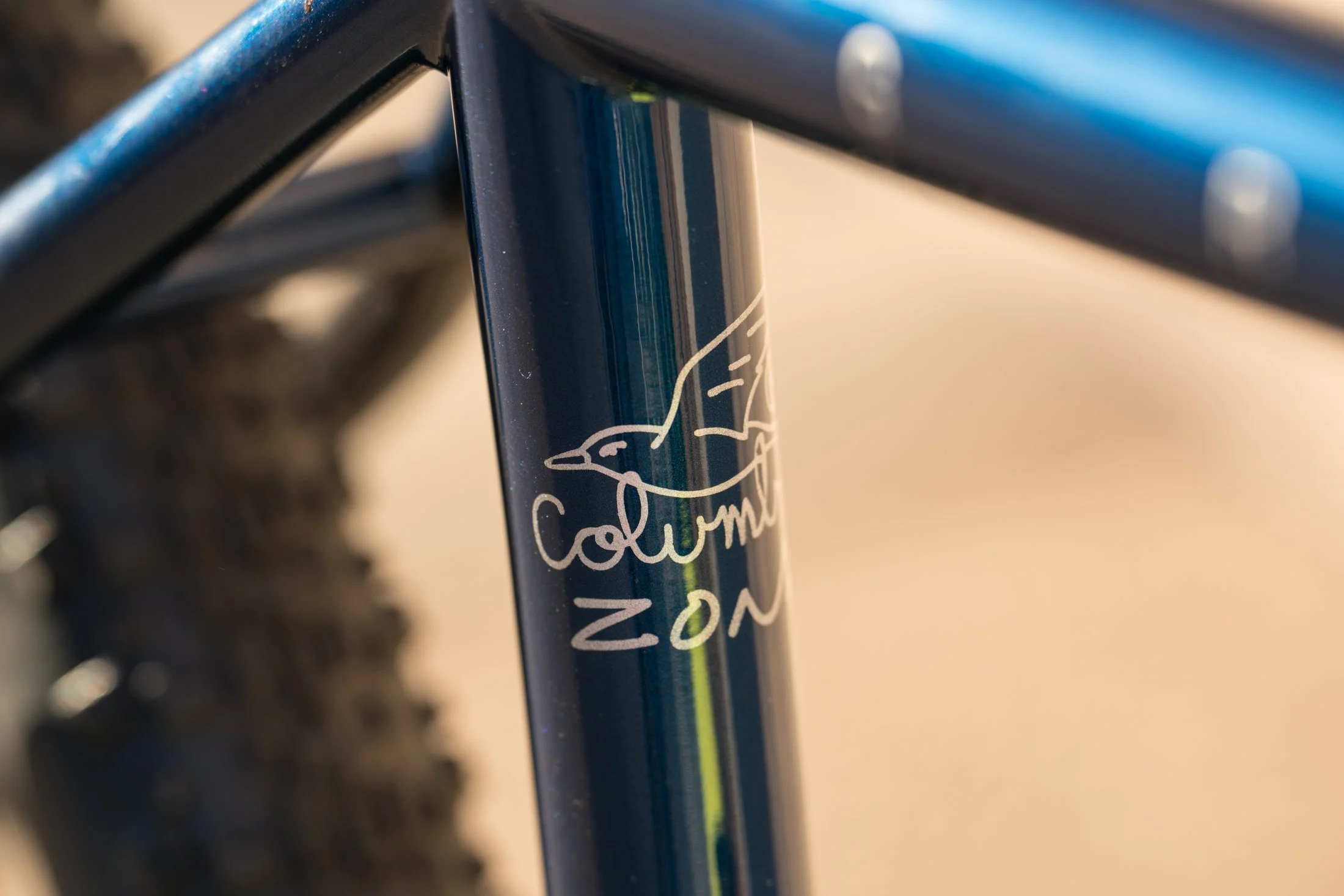 Jordan’s Beach Club Gravioli — The Cub House