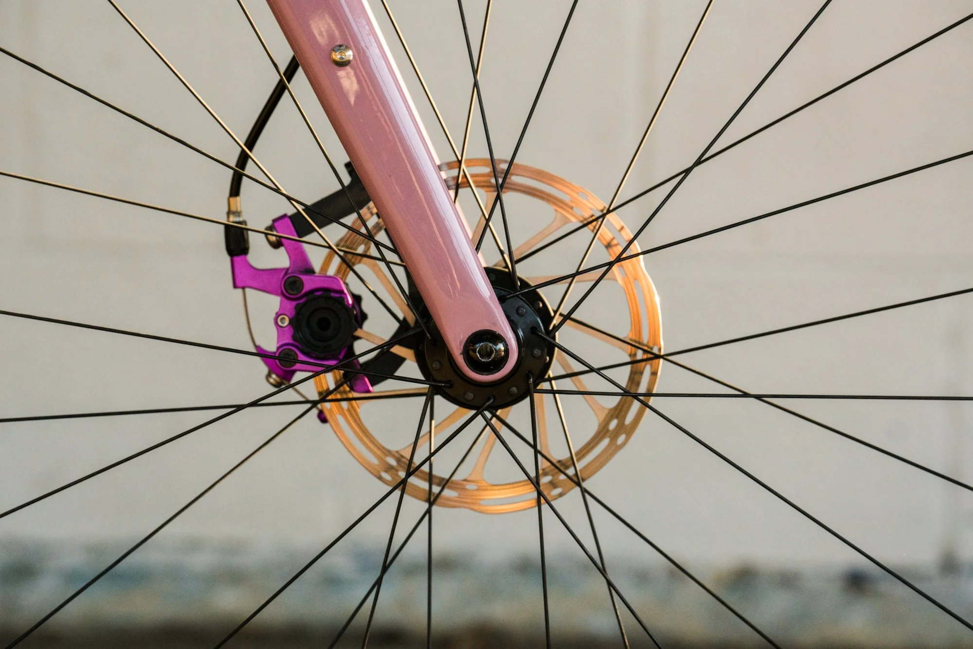 Nick's Crust Bombora — The Cub House