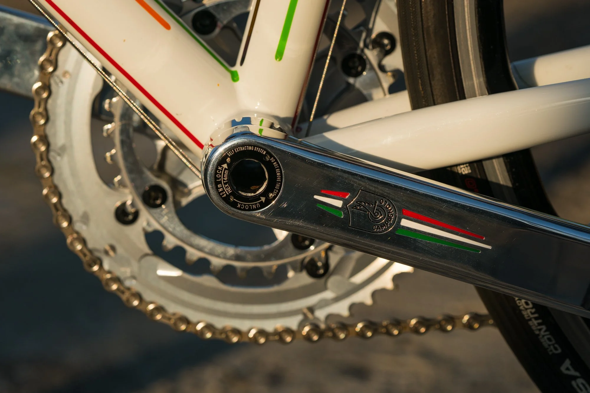 Greg's Gregoretti Pegoretti — The Cub House