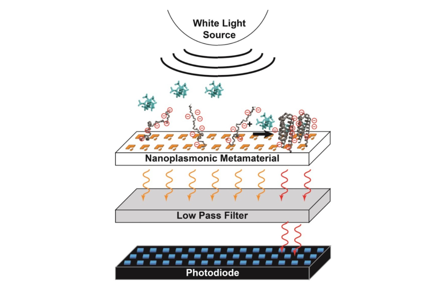 Research: Designed Sensors — Koder Lab