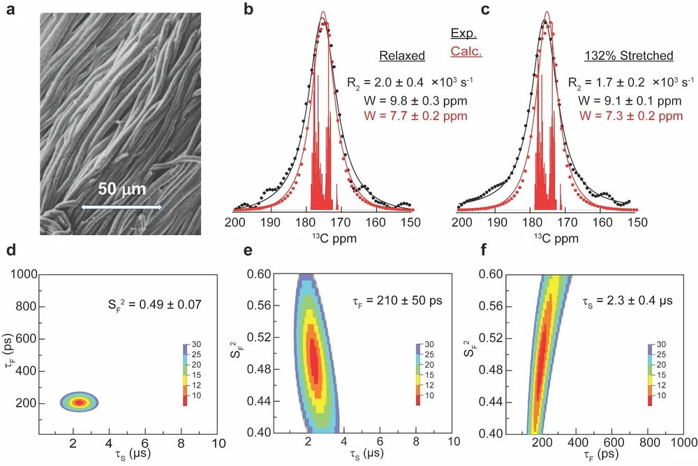 Research: Elastin Materials — Koder Lab