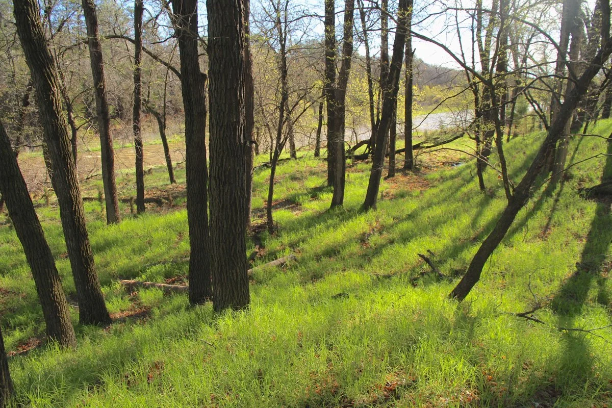Niobrara River — Niobrara Nature Guided Tours & Photography