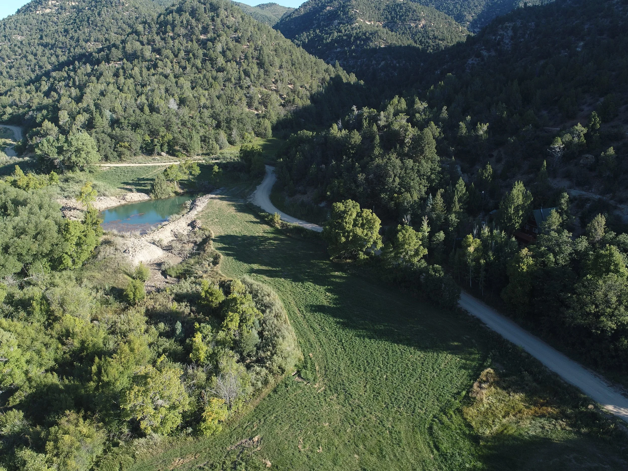 Blue Pine Ranch | High Quality Meats | Naturally Grown Wagyu, Angus ...