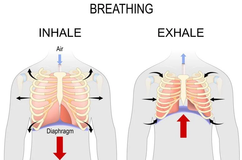 The Breath and Balance