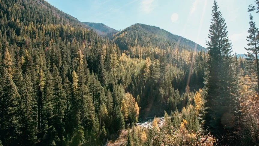 Baker County - NE Oregon Firewise®