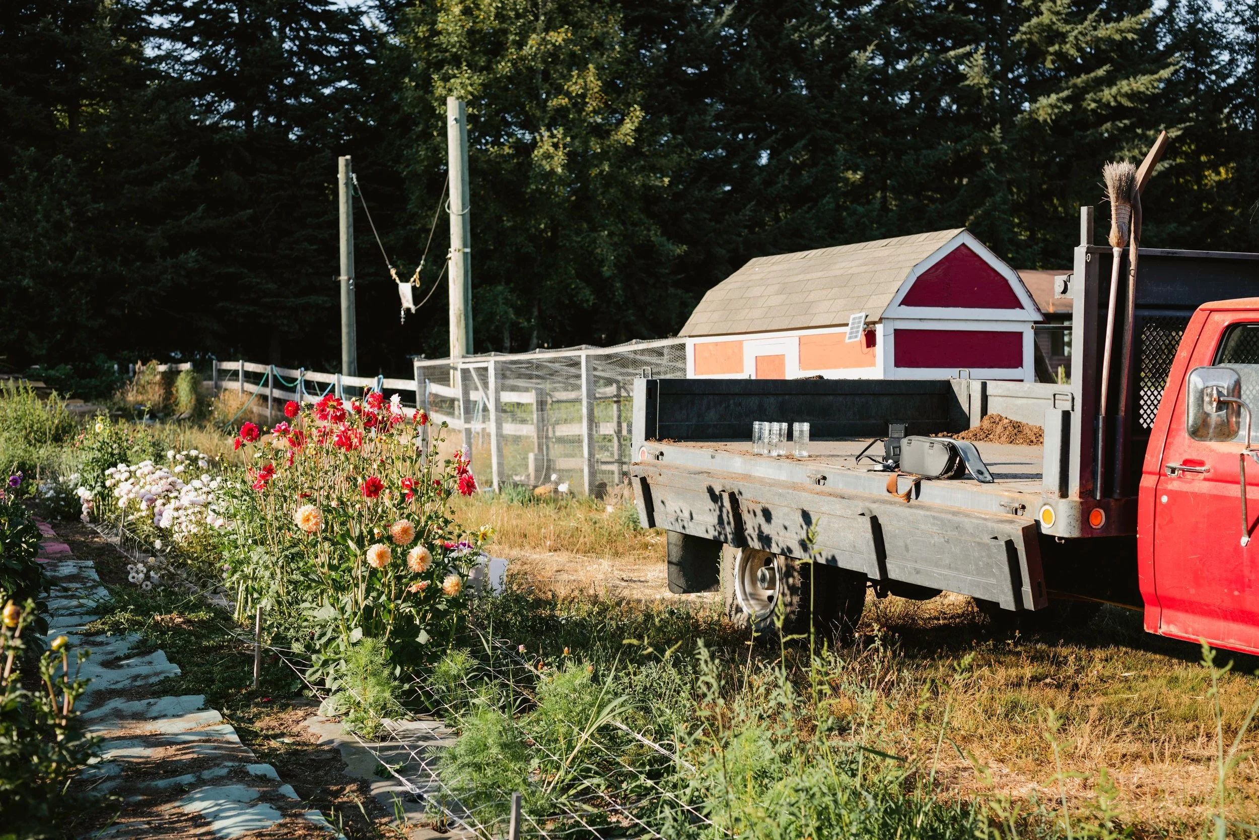 Our Farm — Shady Hazel Farm