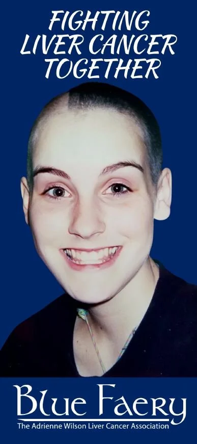 Blue Faery's Mission — Blue Faery