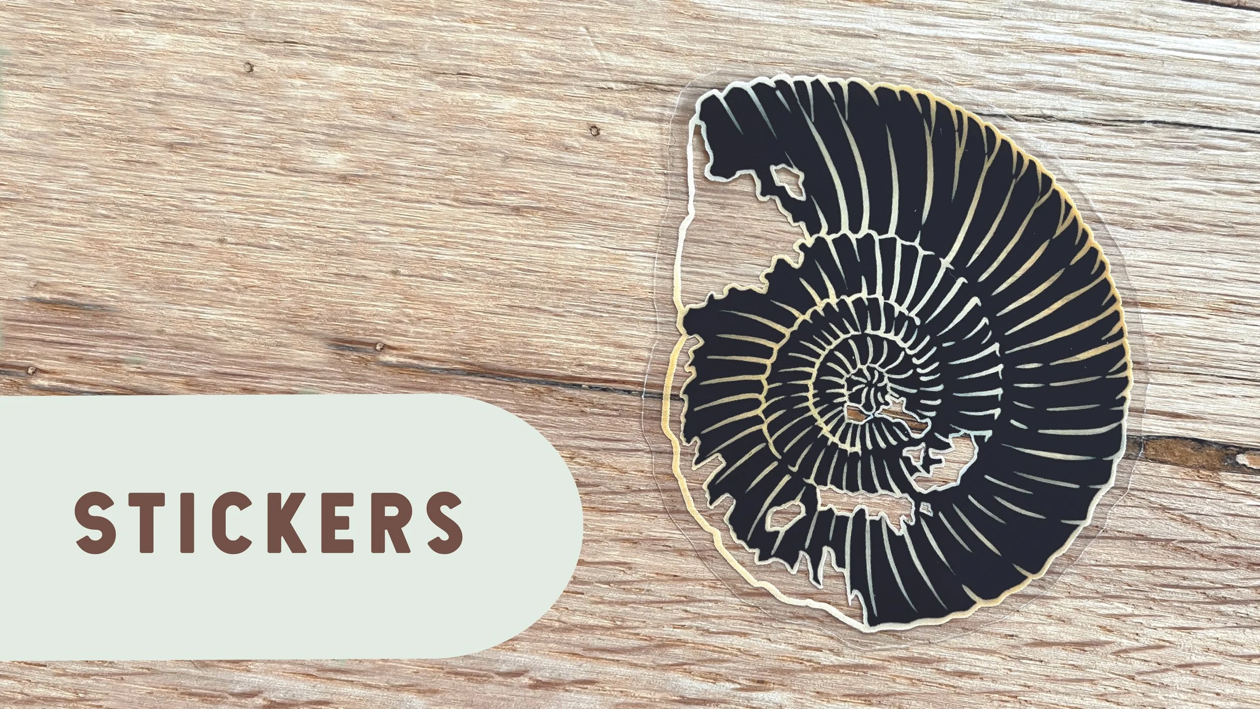 The Paleo Press line of Paleontology and STEM themed apparel and accesories