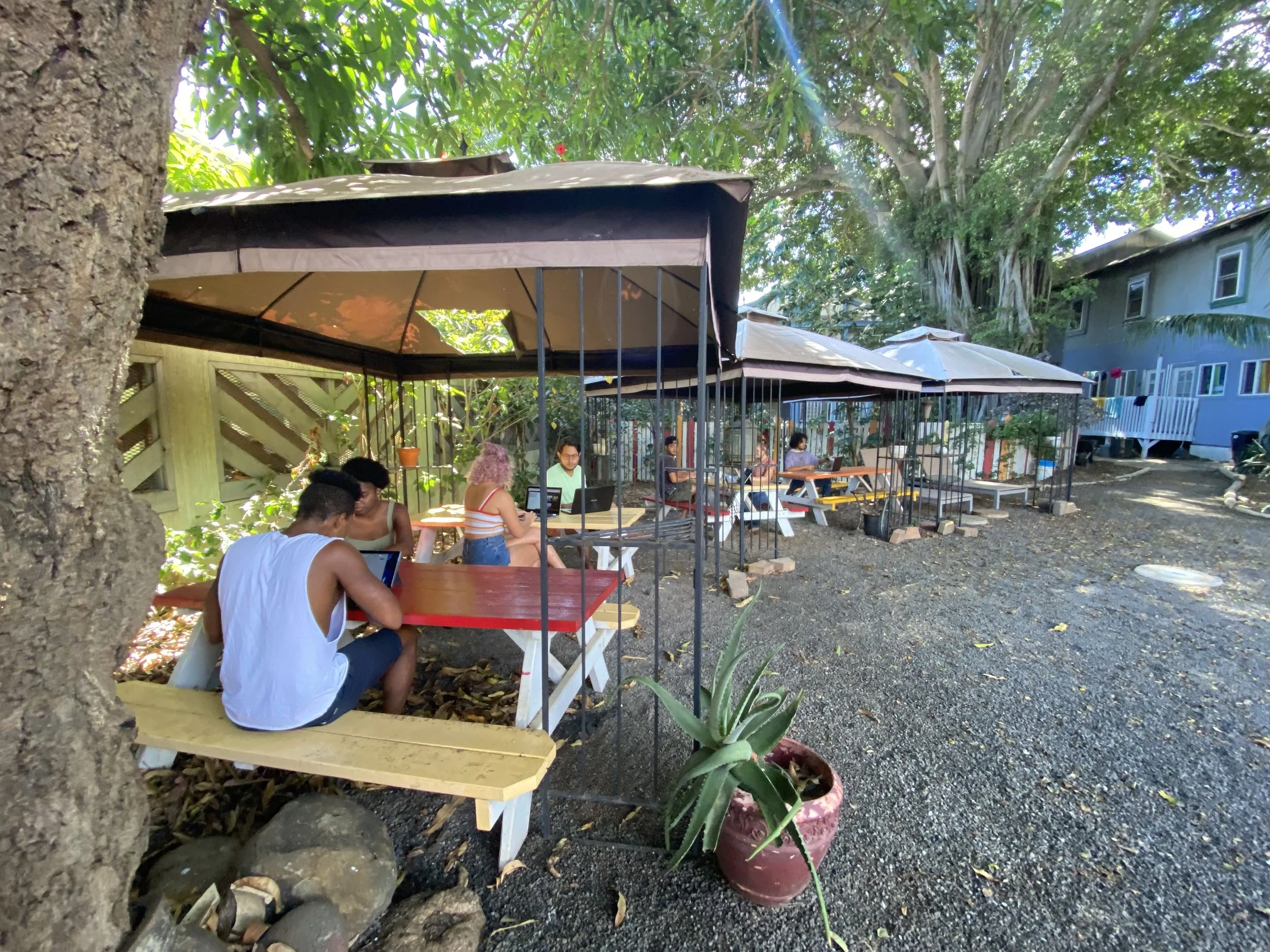 Howzit Hostel Maui | Wailuku, Hawaii | The Northshore Hostel