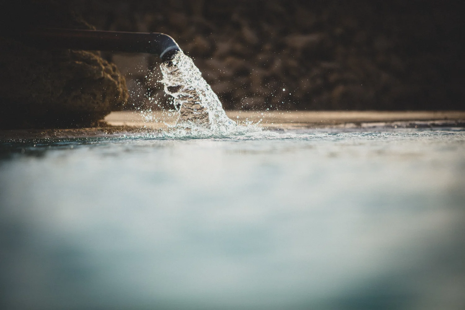 Gallery — DESERT REEF