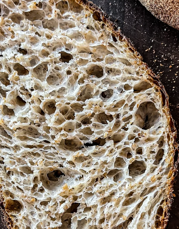 50% whole meal open crumb — BreadStalker