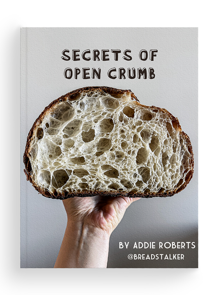 The Book - Secrets of open crumb — BreadStalker