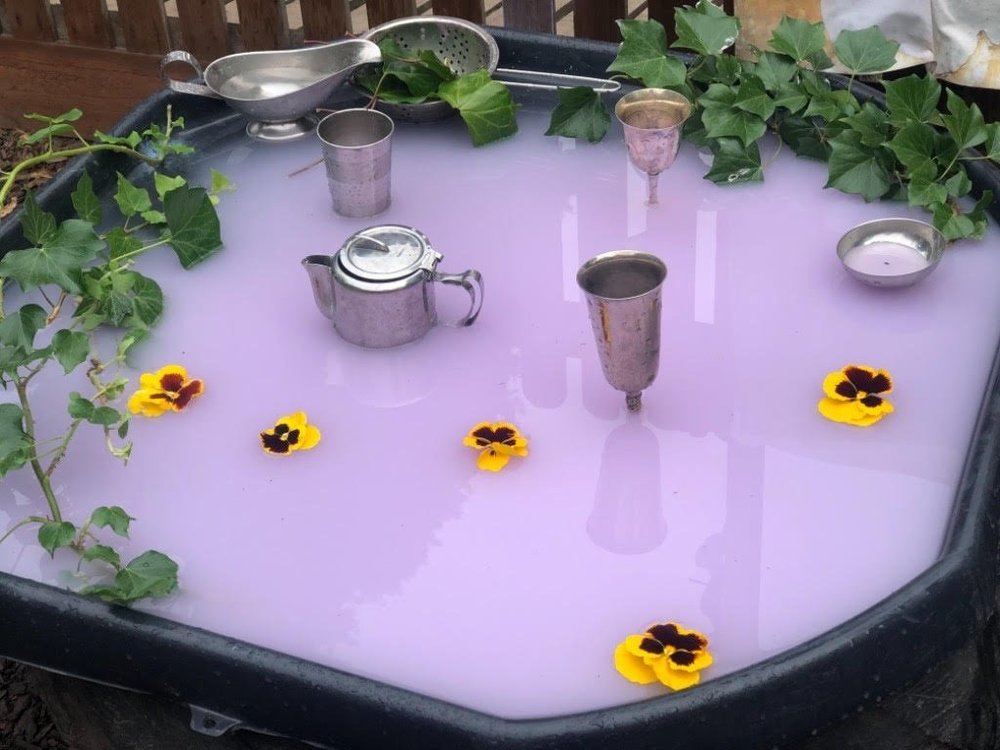 Plants, Foliage and Flowers! — Love 2 Learn Nursery