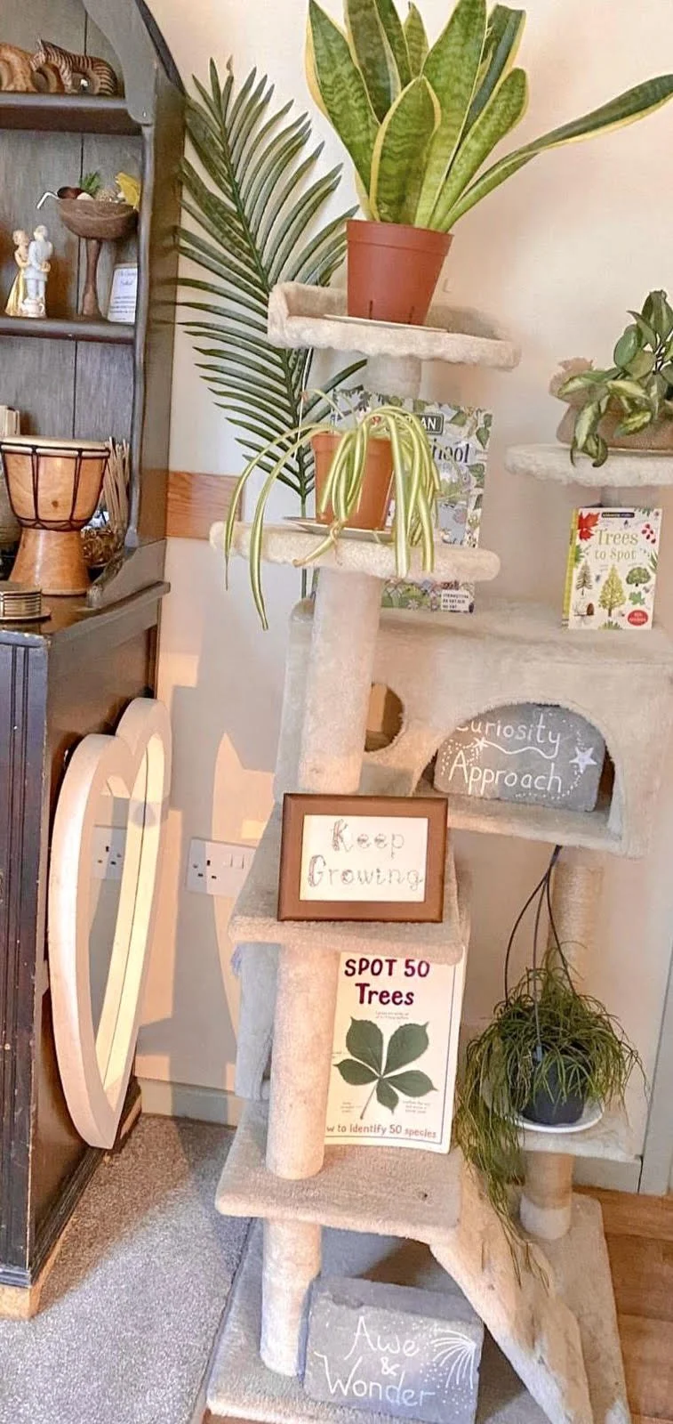 Plants, Foliage and Flowers! — Love 2 Learn Nursery