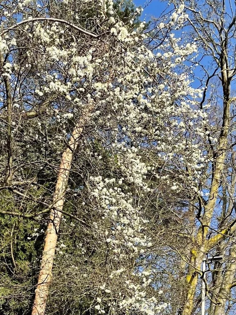 Spring — Love 2 Learn Nursery