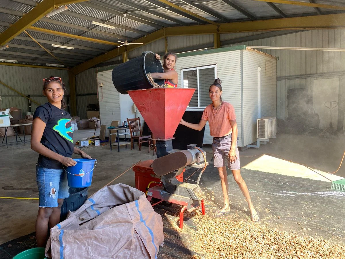 What We Do — Top End Seeds