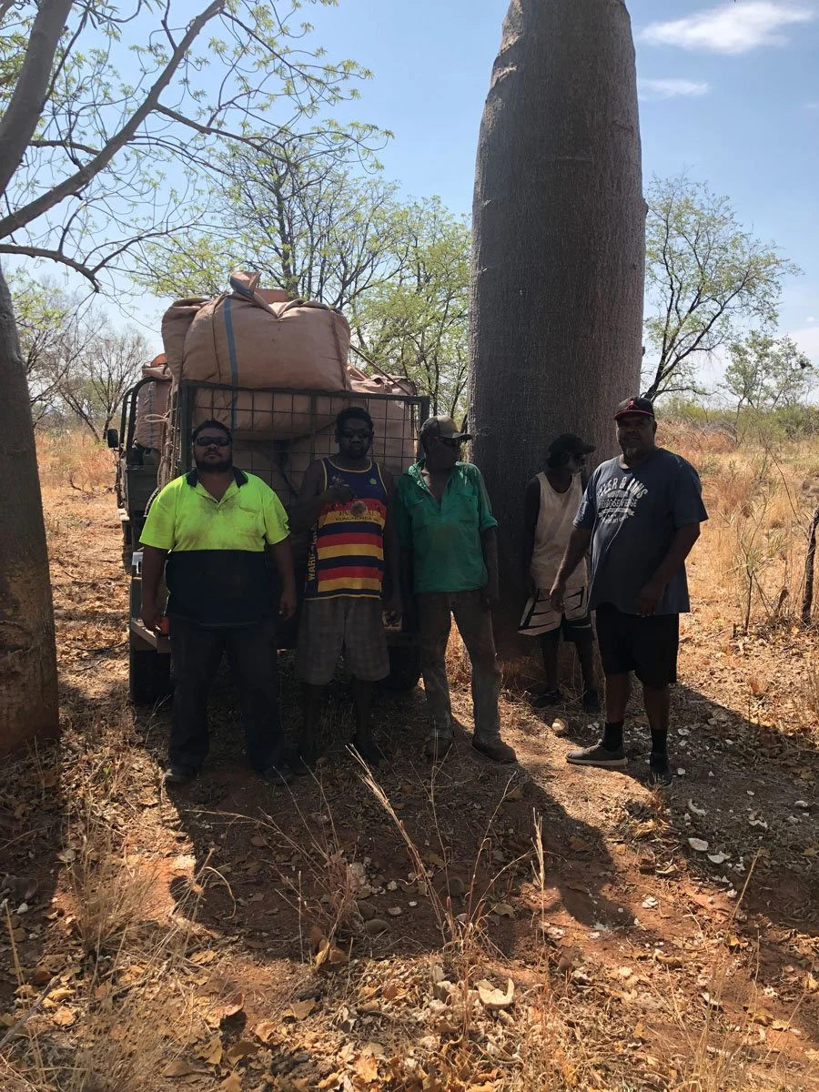 Projects — Top End Seeds