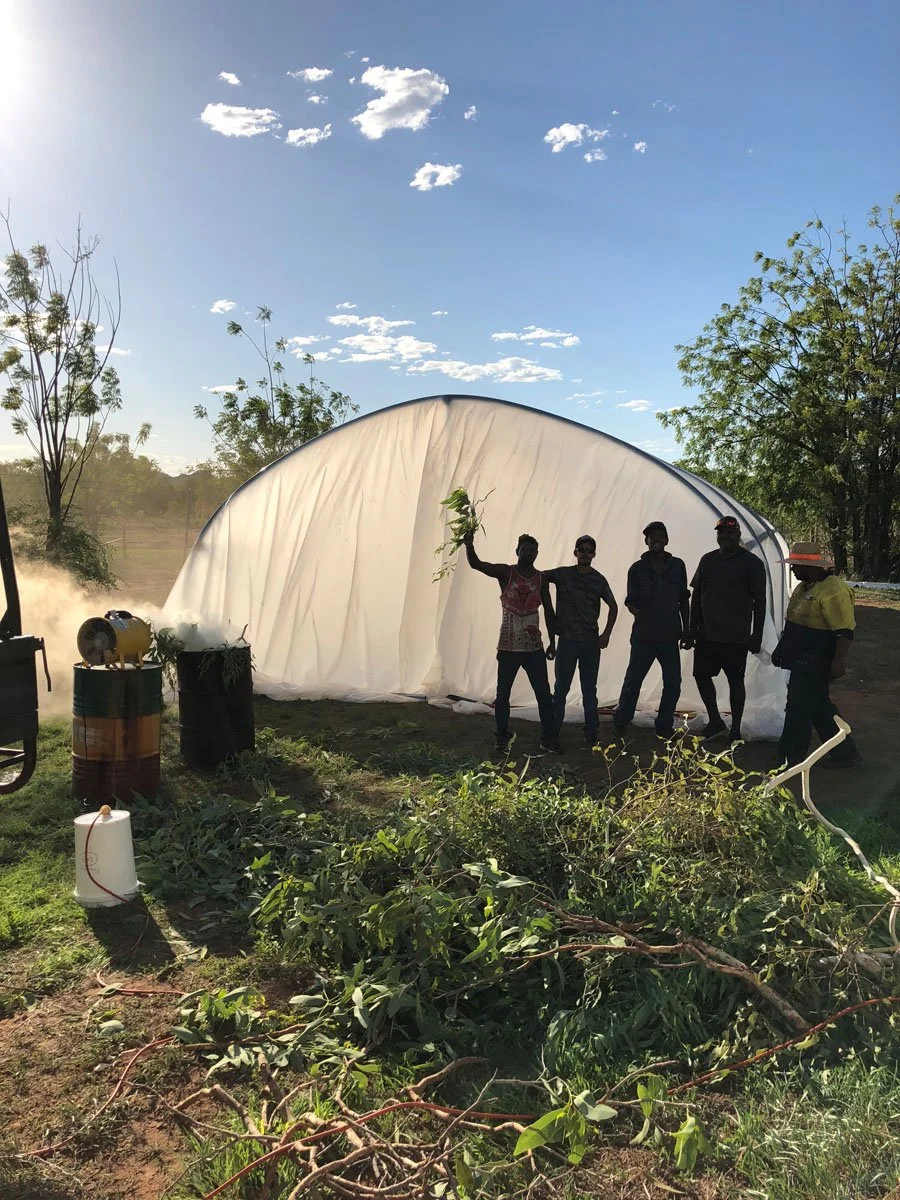 Projects — Top End Seeds