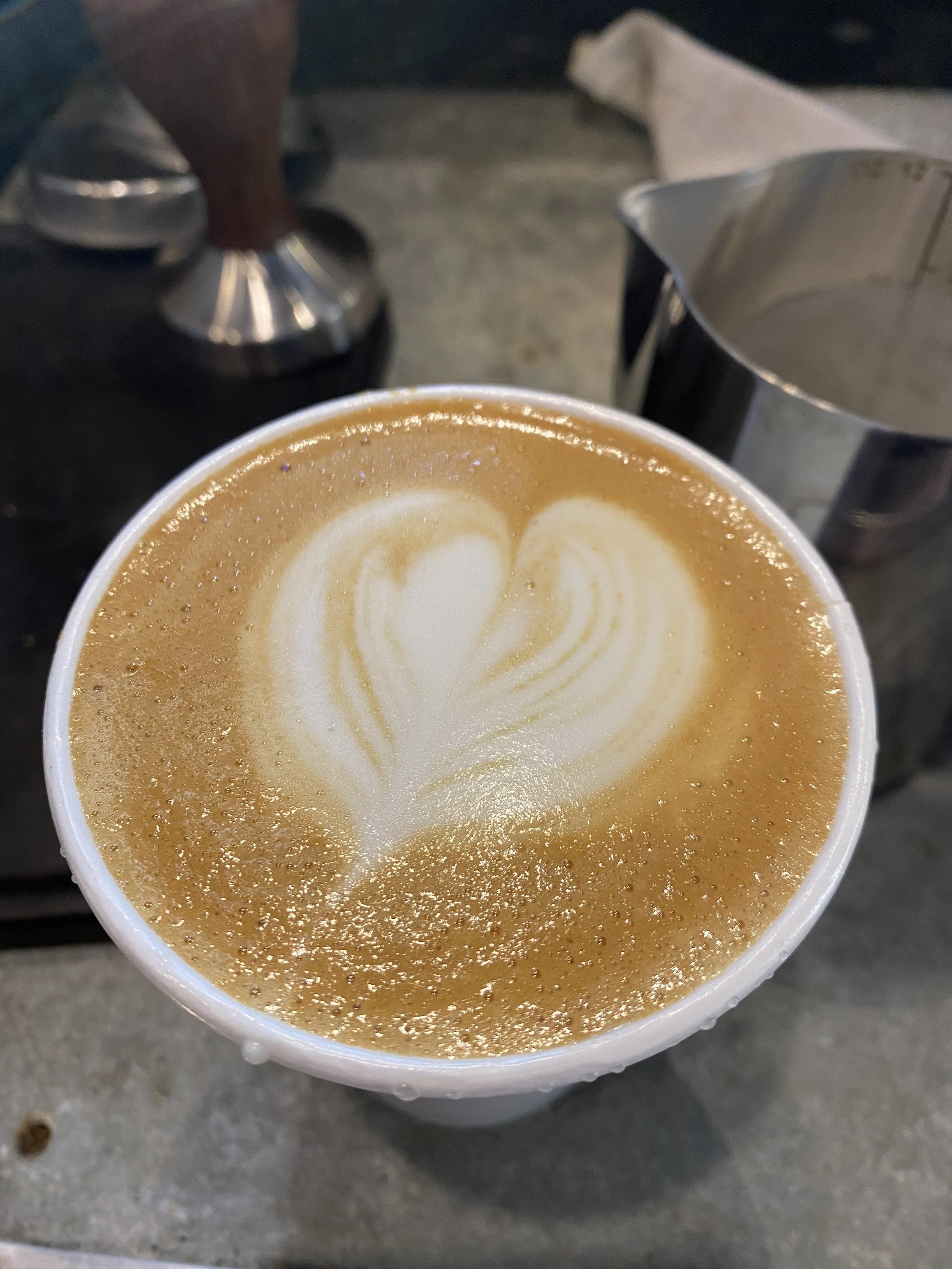 Camellia Coffee House