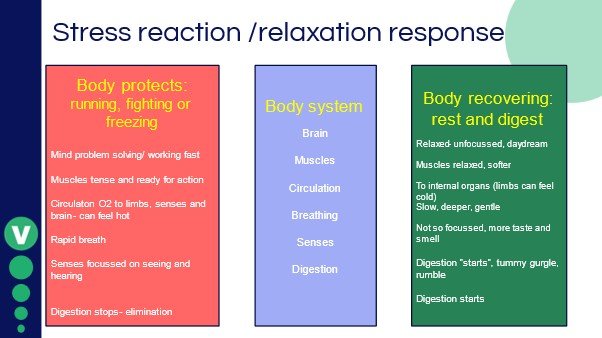 Tired and wired: Understanding the challenges of resting — Vitality 360