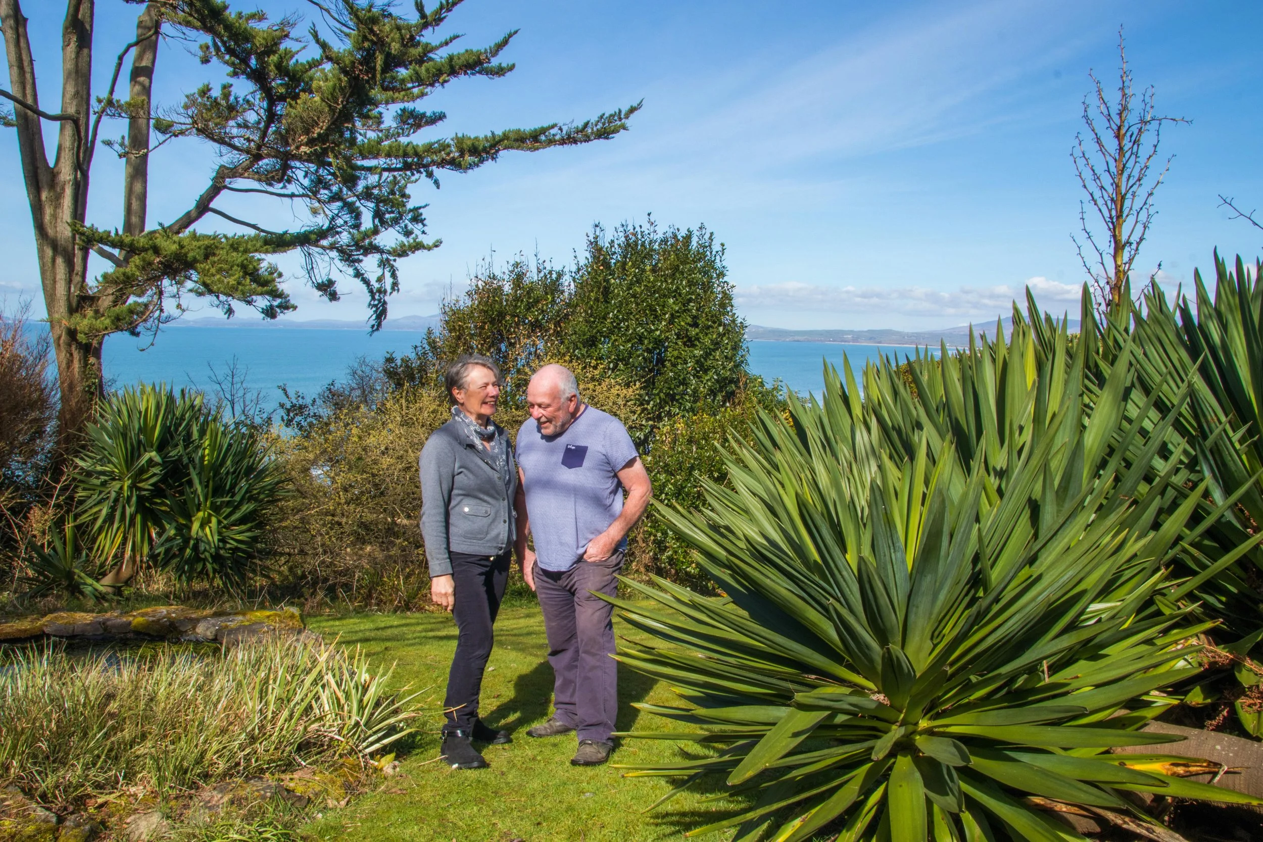 About Us — Galeri Harlech