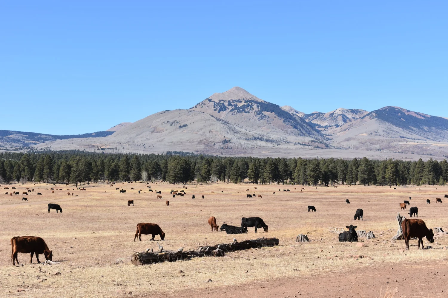 Contact — Redd Ranches