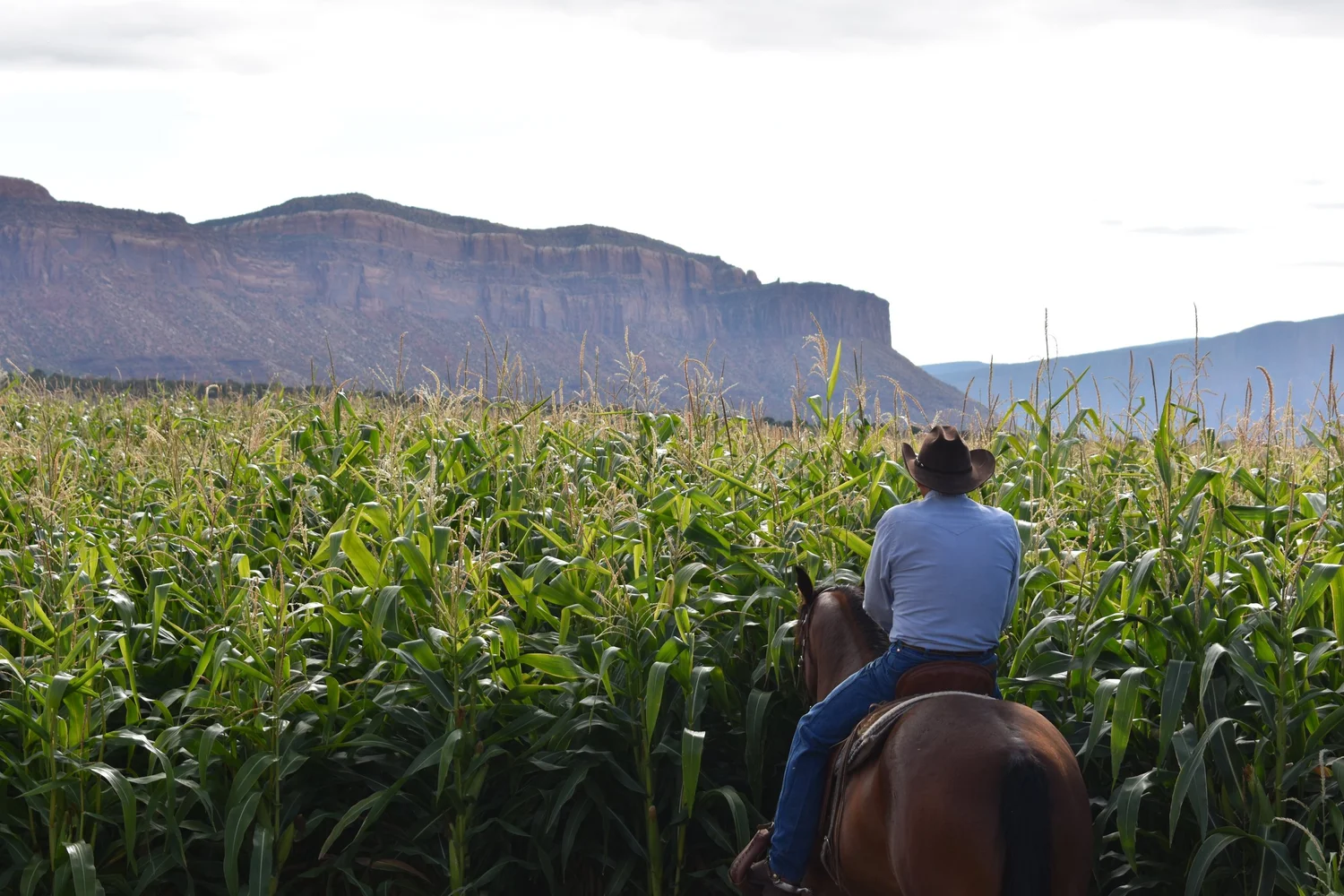 Sale — Redd Ranches