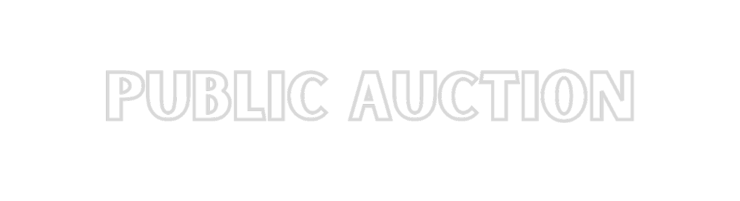 Metro Phoenix Landing — Metro Auto Auction