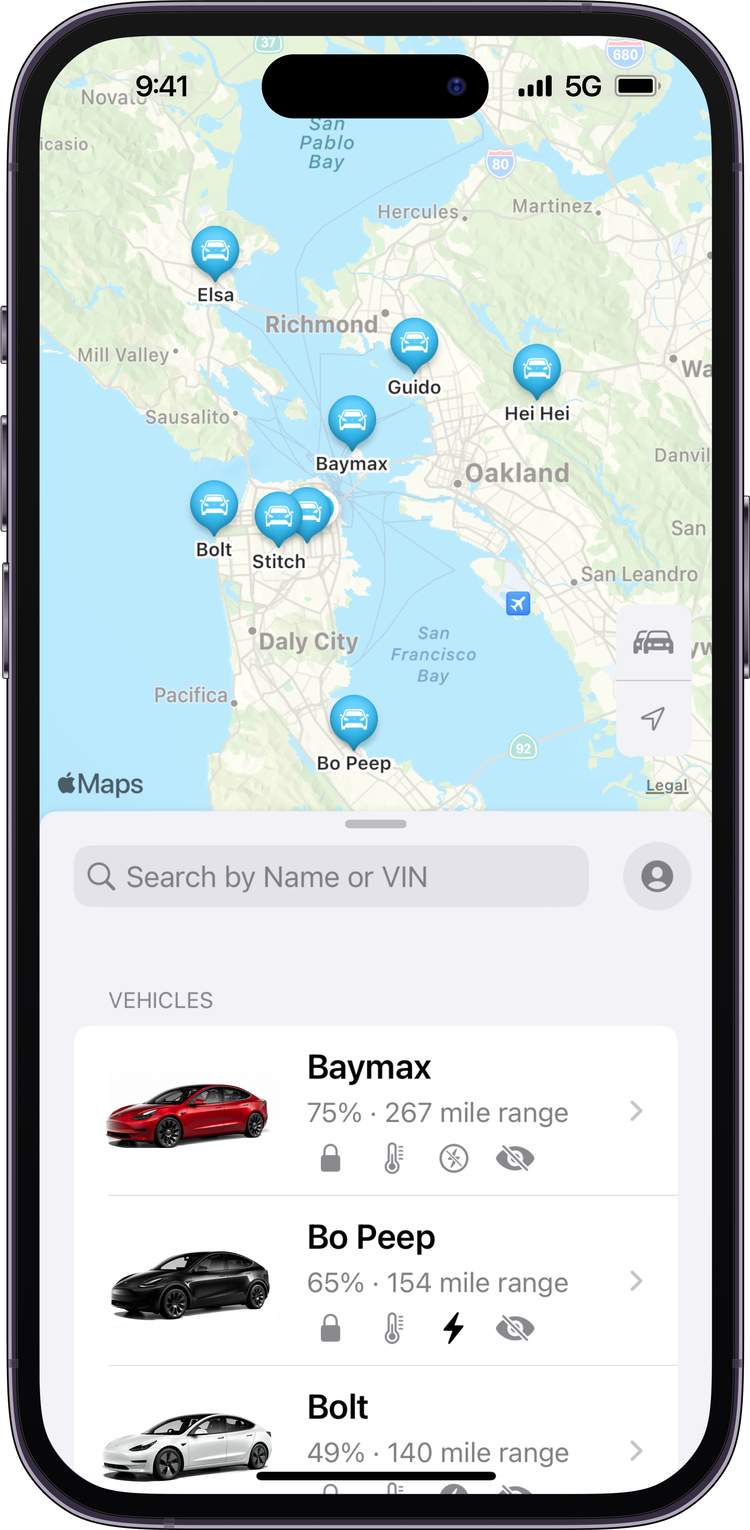 Turo Fleet Management — Standard Fleet