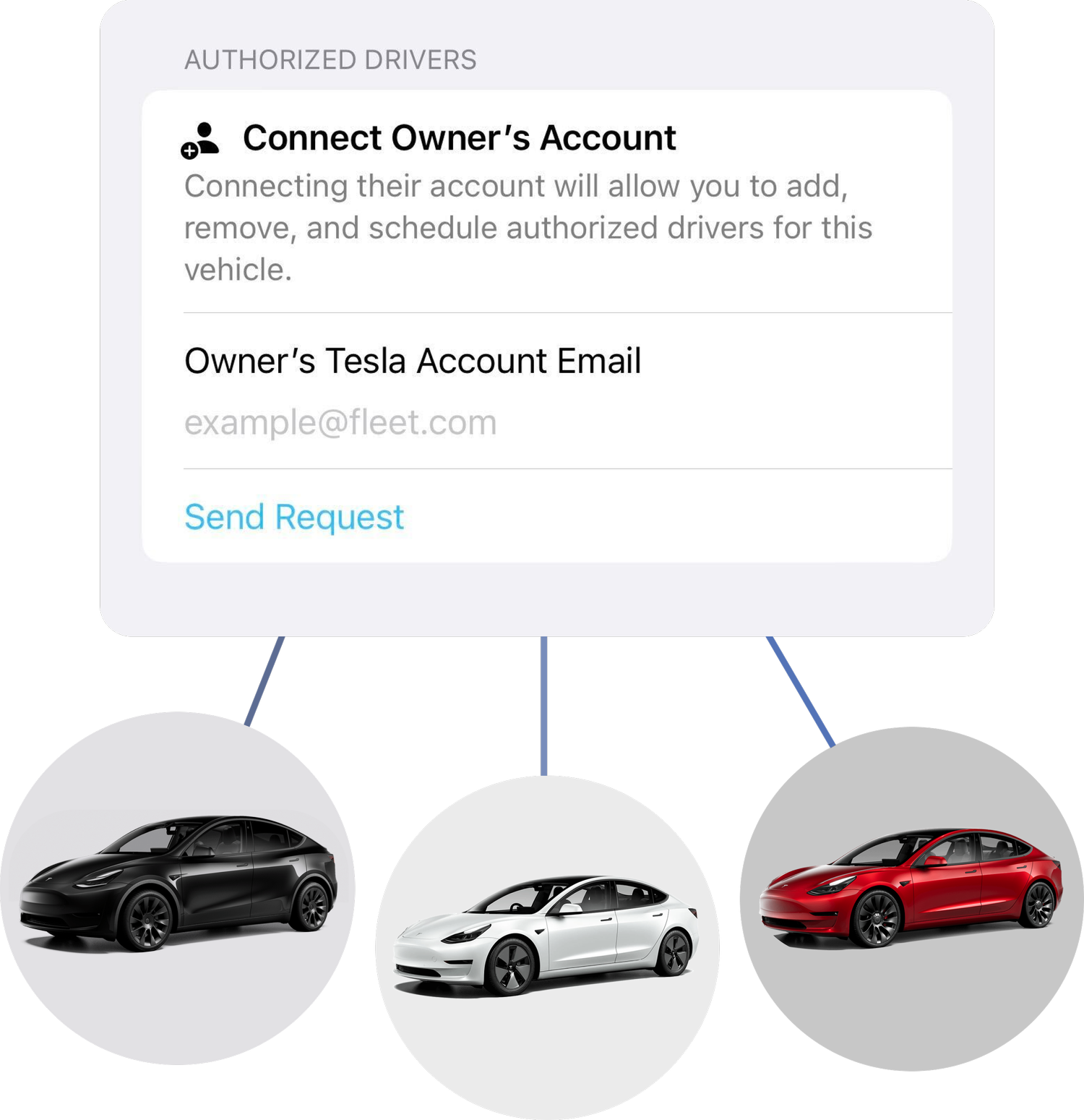 Turo Fleet Management — Standard Fleet