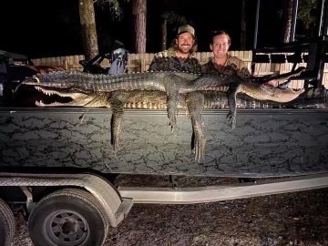 Gator Hunting Florida — Coast Runner Outfitters