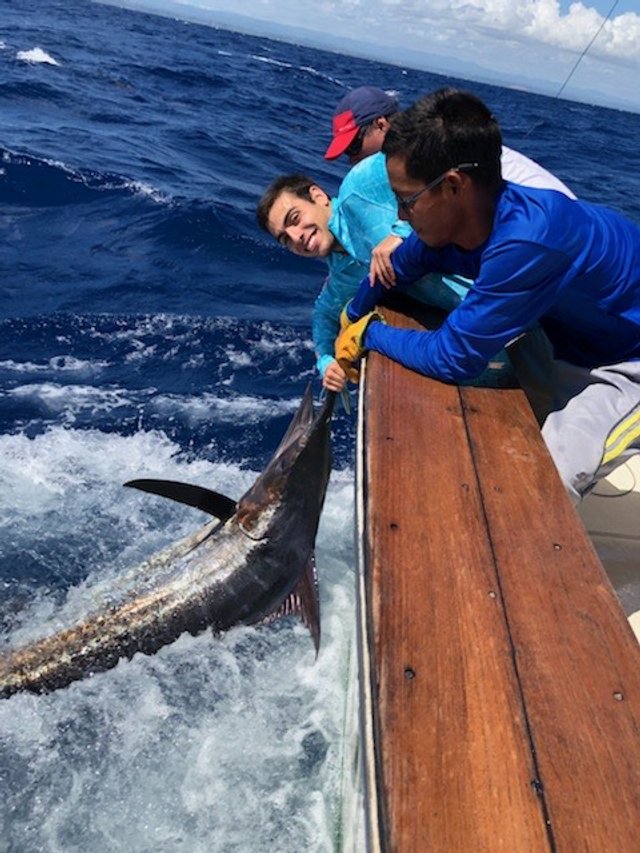 Top Ten Game Fish in Puerto Rico — Curate Fishing