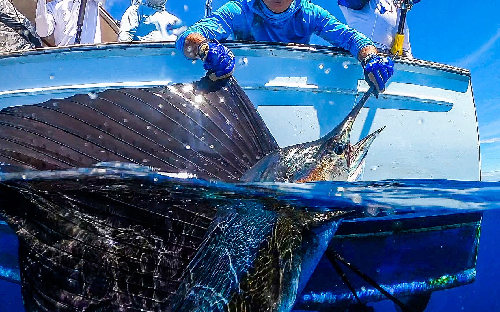 Top Ten Game Fish in Puerto Rico — Curate Fishing