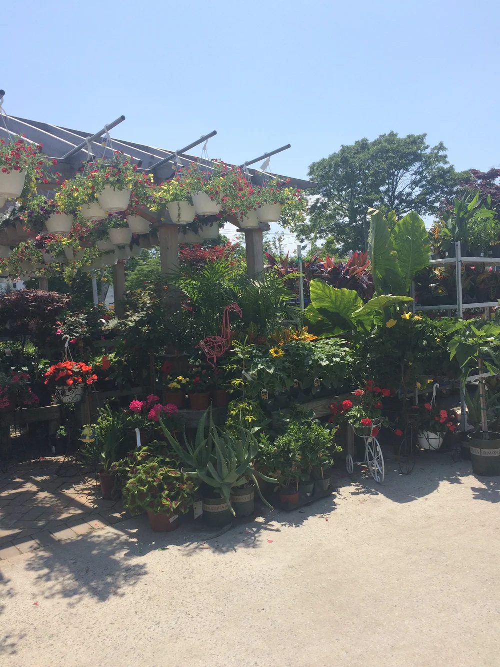 Garden Center — Island Greenery