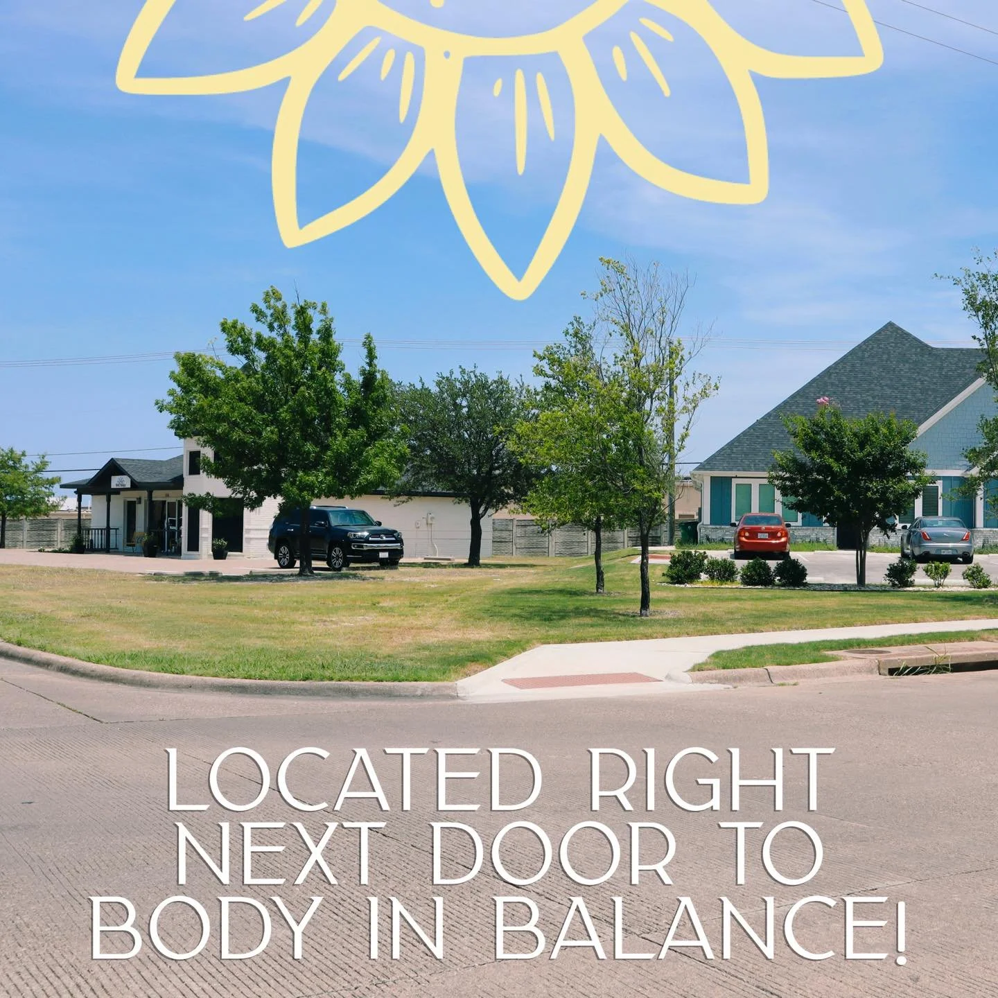 Wellness Partners — Body in Balance