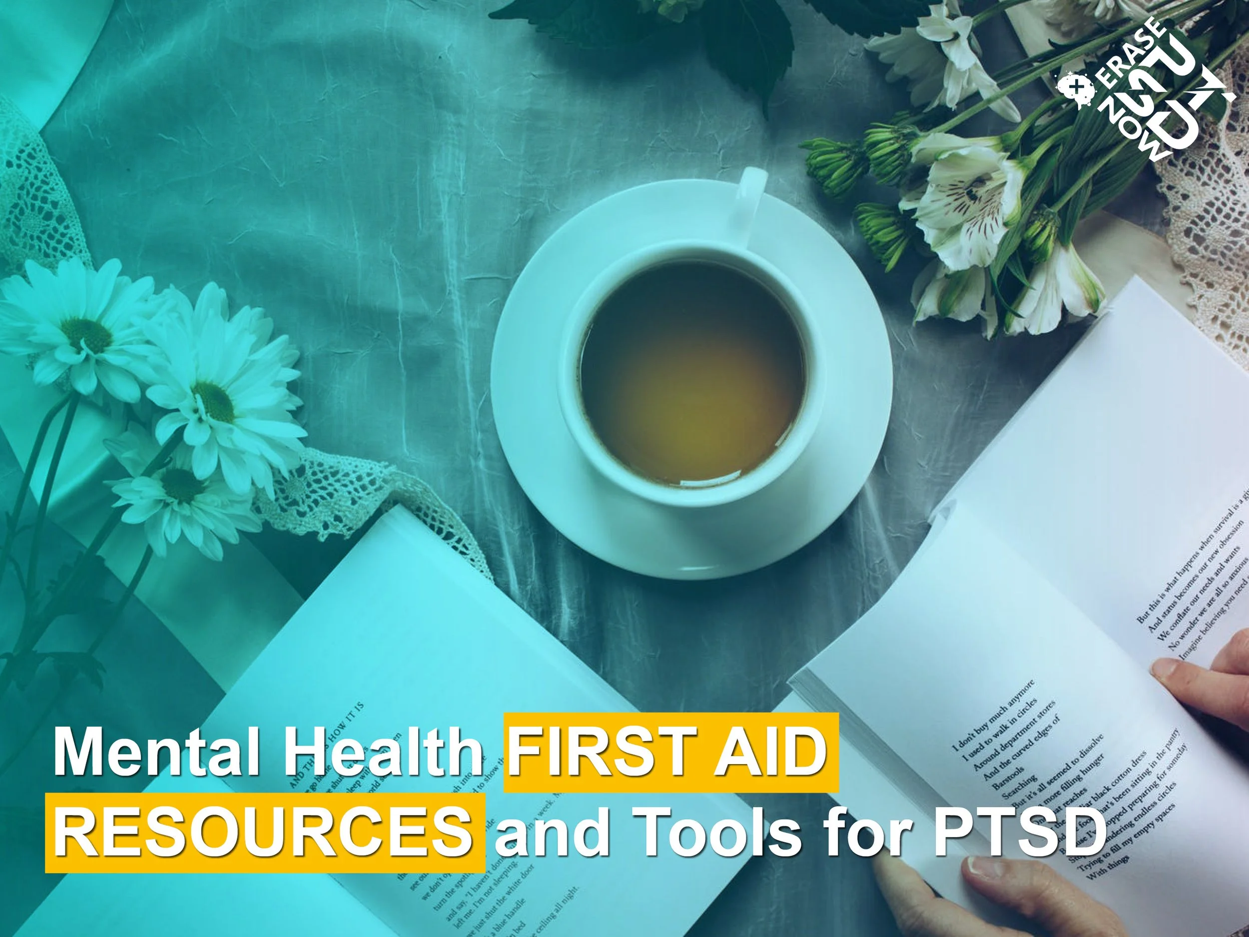 Mental Health First Aid Resources and Tools for PTSD — Erase PTSD Now