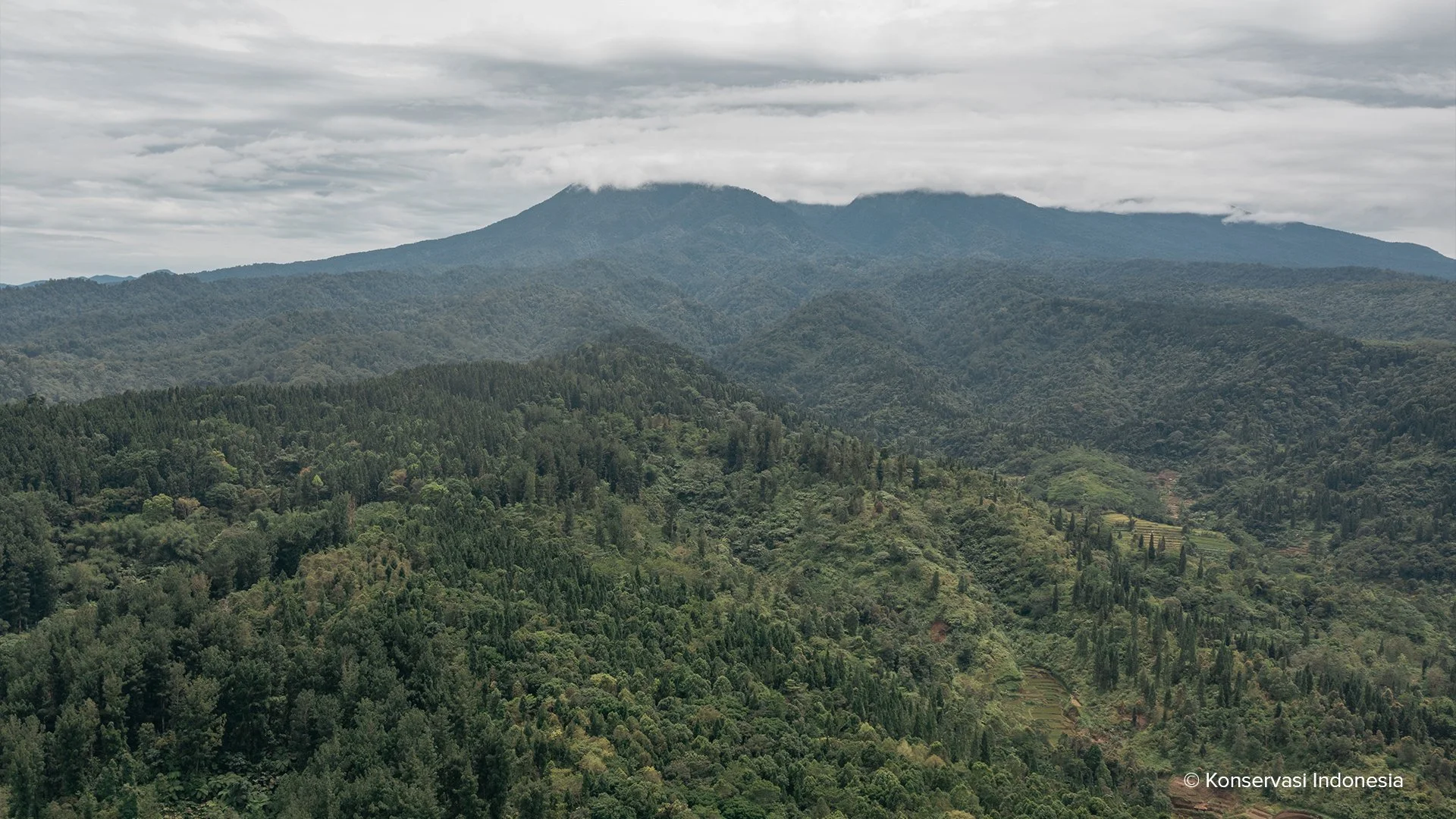 Sundaland — Konservasi Indonesia