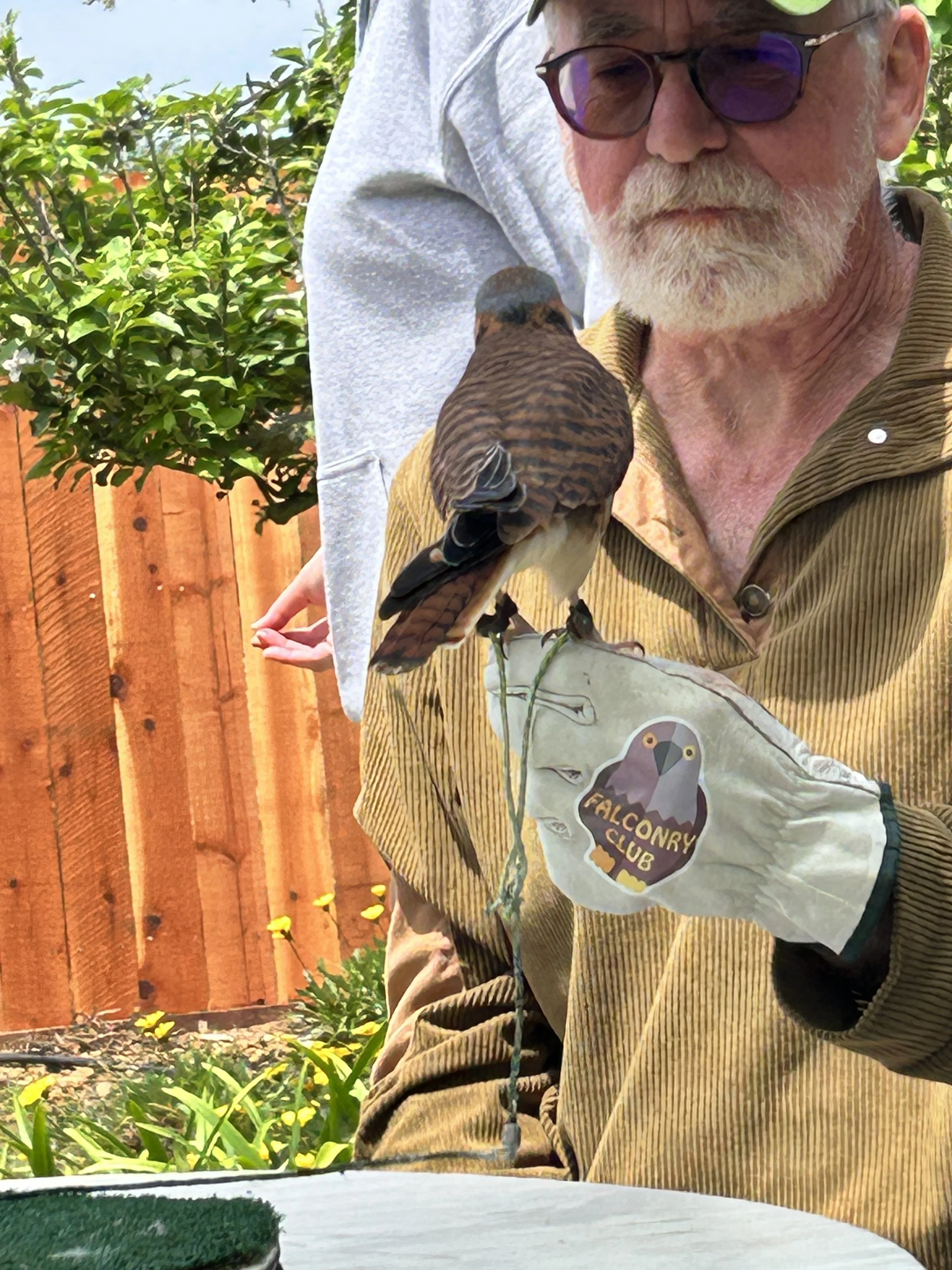 Classes — SweetHawk Falconry