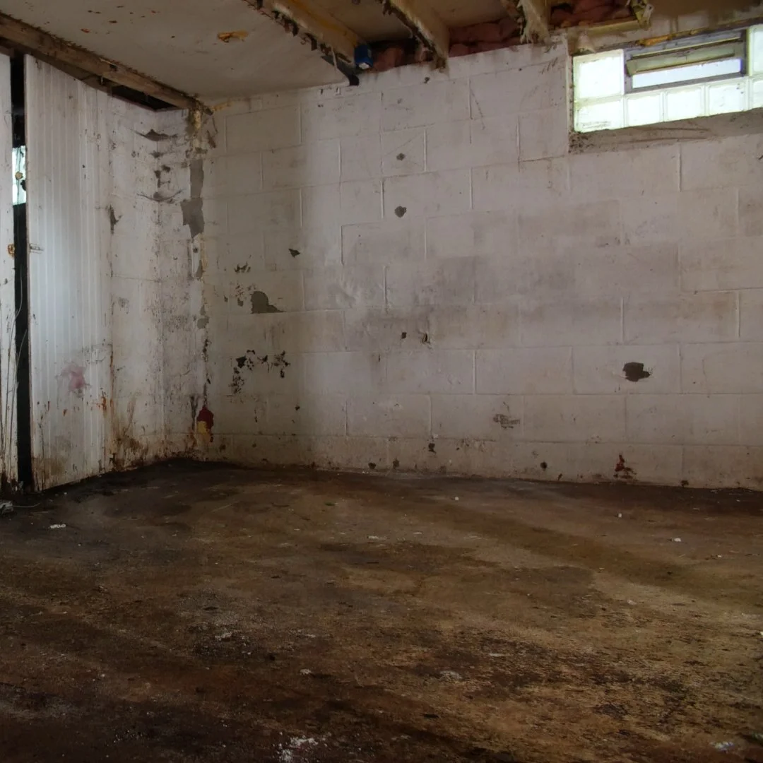 Unleash Your Basement's Potential: Transformations with Mr. Clean Fix ...