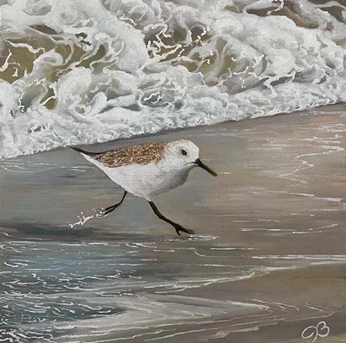 Sea Birds — Jon Bandish Art