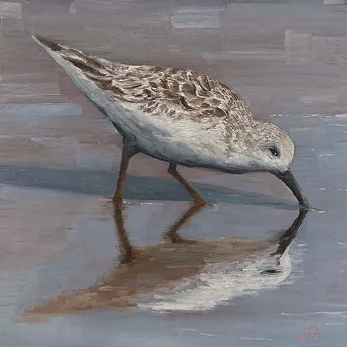 Sea Birds — Jon Bandish Art